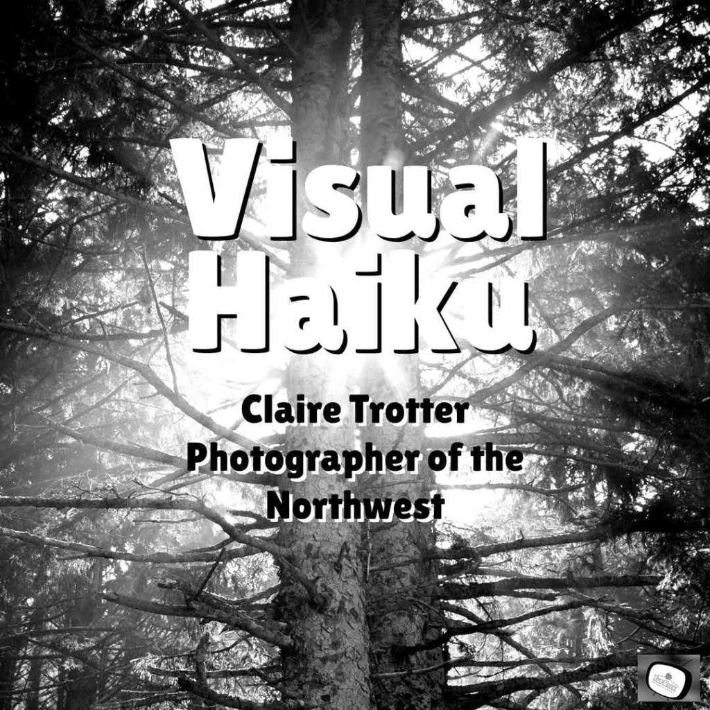 Visual Haiku - CupRock